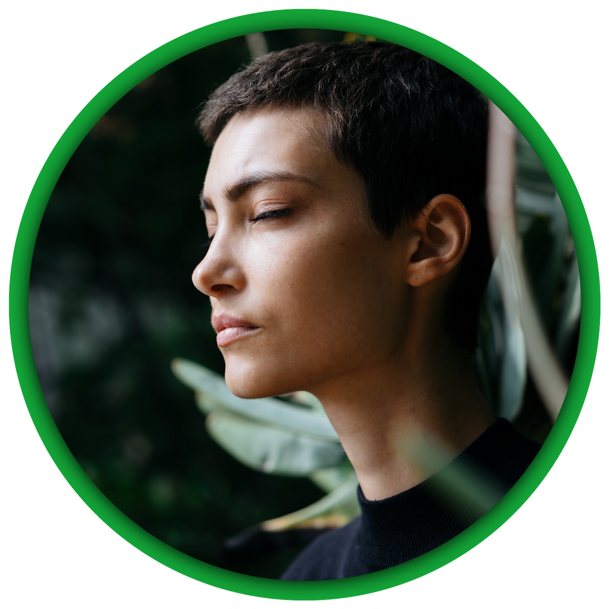 Aceite de CBD para el Dolor - Full Spectrum, 1000 mg, 30 mL – Alphamedex