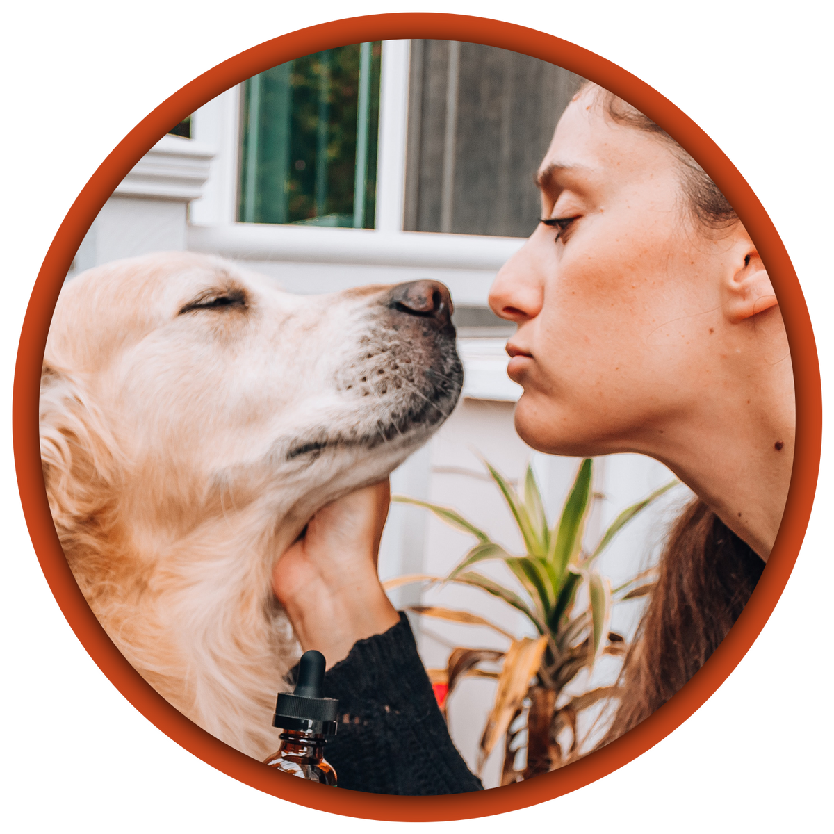 Aceite de CBD para Mascotas - ALPHA PETS, 500 mg, 30 ml – Alphamedex